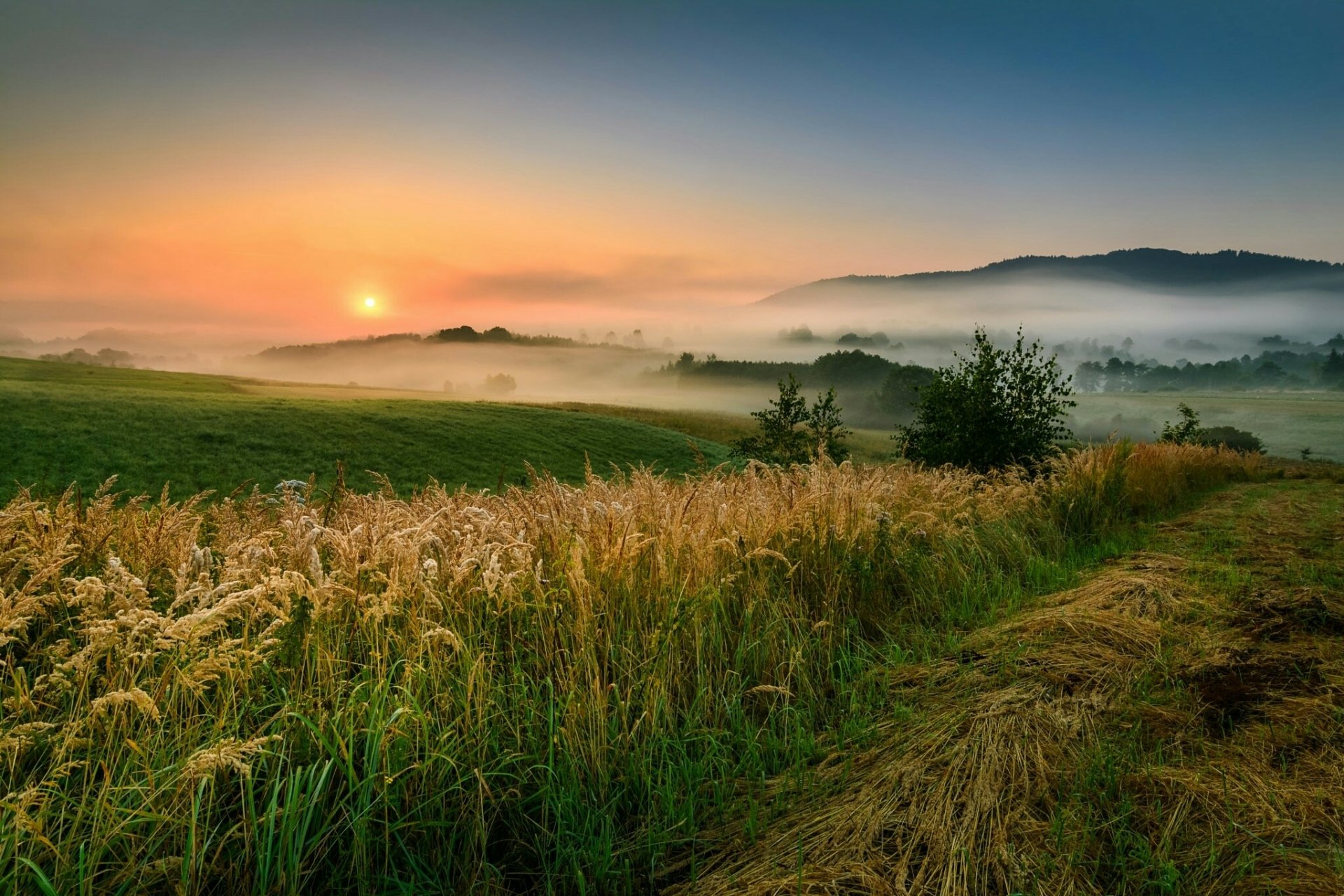 Golden Sunset Over Misty Field – HD Nature Wallpaper