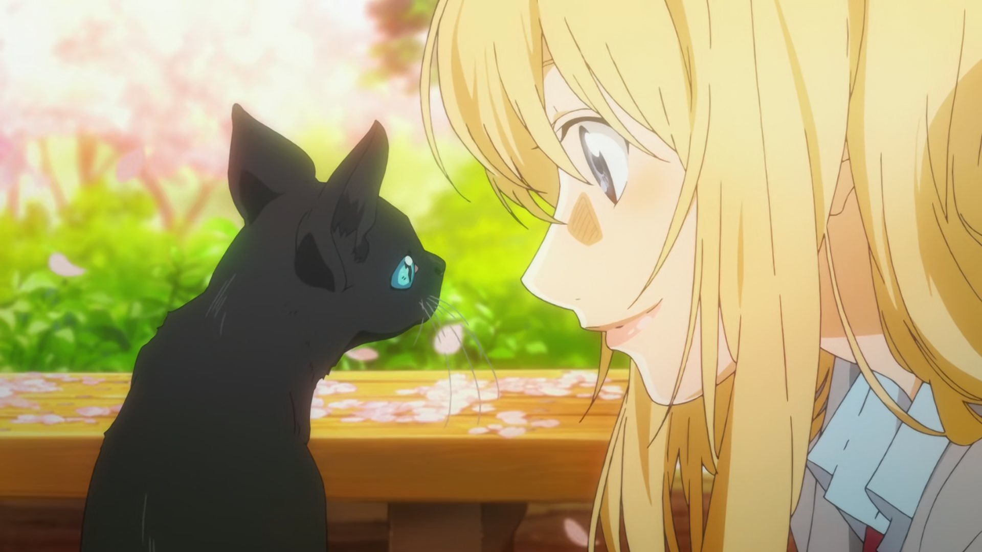 Kaori's Melody with Black Cat — Your Lie in April HD Wallpaper ...