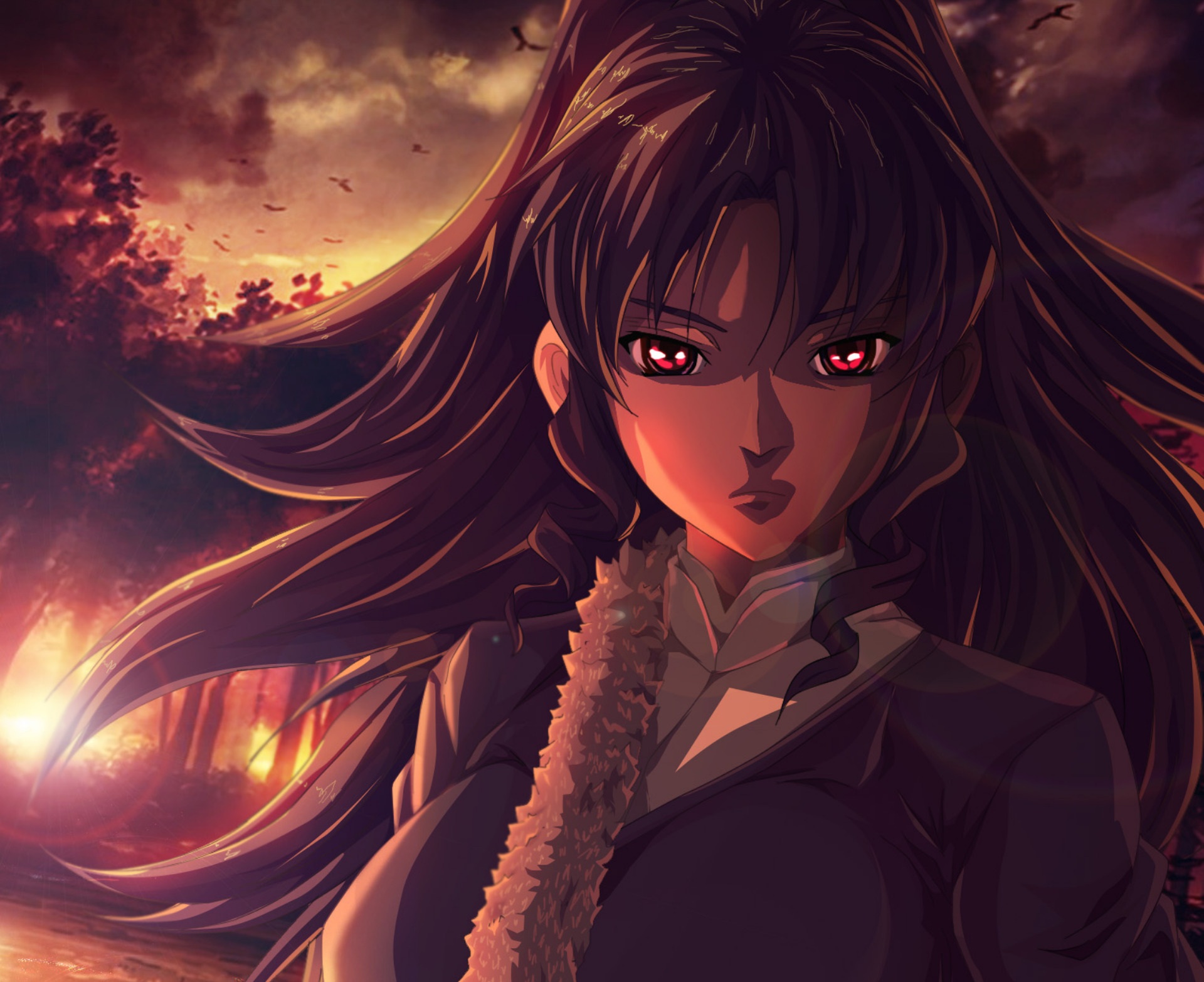 Anime Freezing HD Wallpaper by Acnoxsus