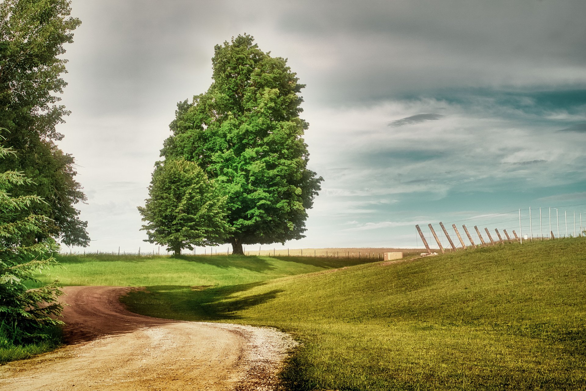 Download Nature Path HD Wallpaper