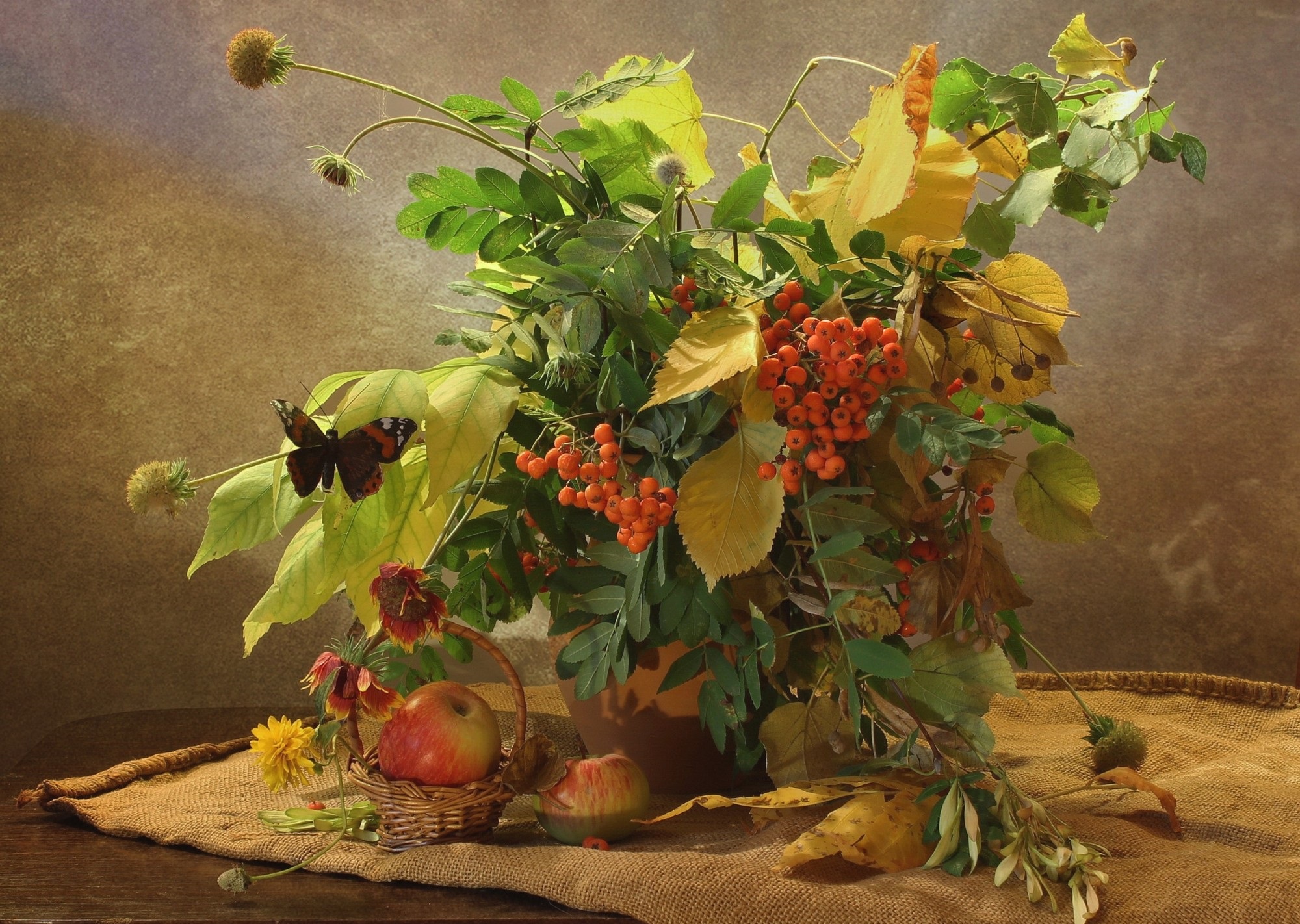 Download Berry Photography Still Life HD Wallpaper