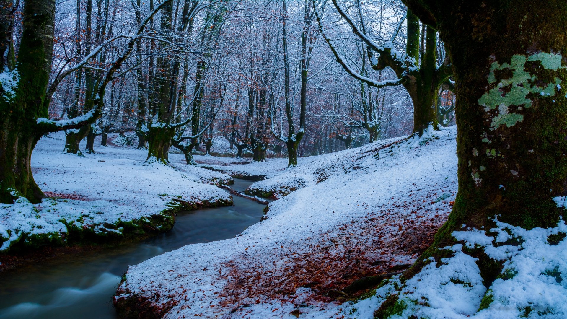 Serene Winter Stream in Snowy Forest - 4K Ultra HD Wallpaper