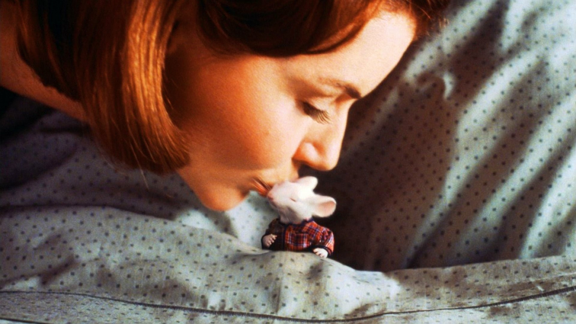 Download Movie Stuart Little HD Wallpaper