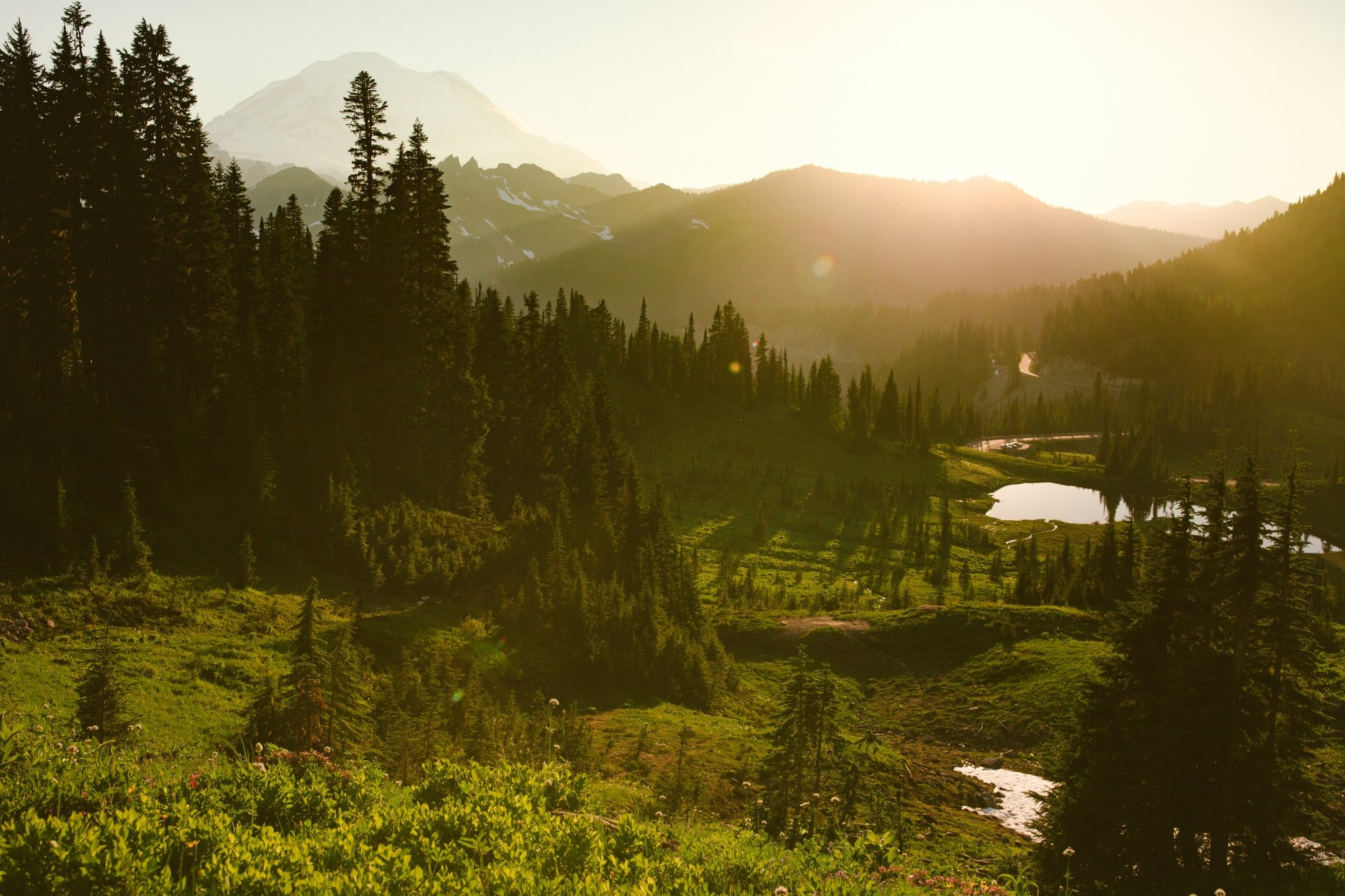 Download Nature Sunset Forest 4k Ultra HD Wallpaper by Josiah Ingels ...