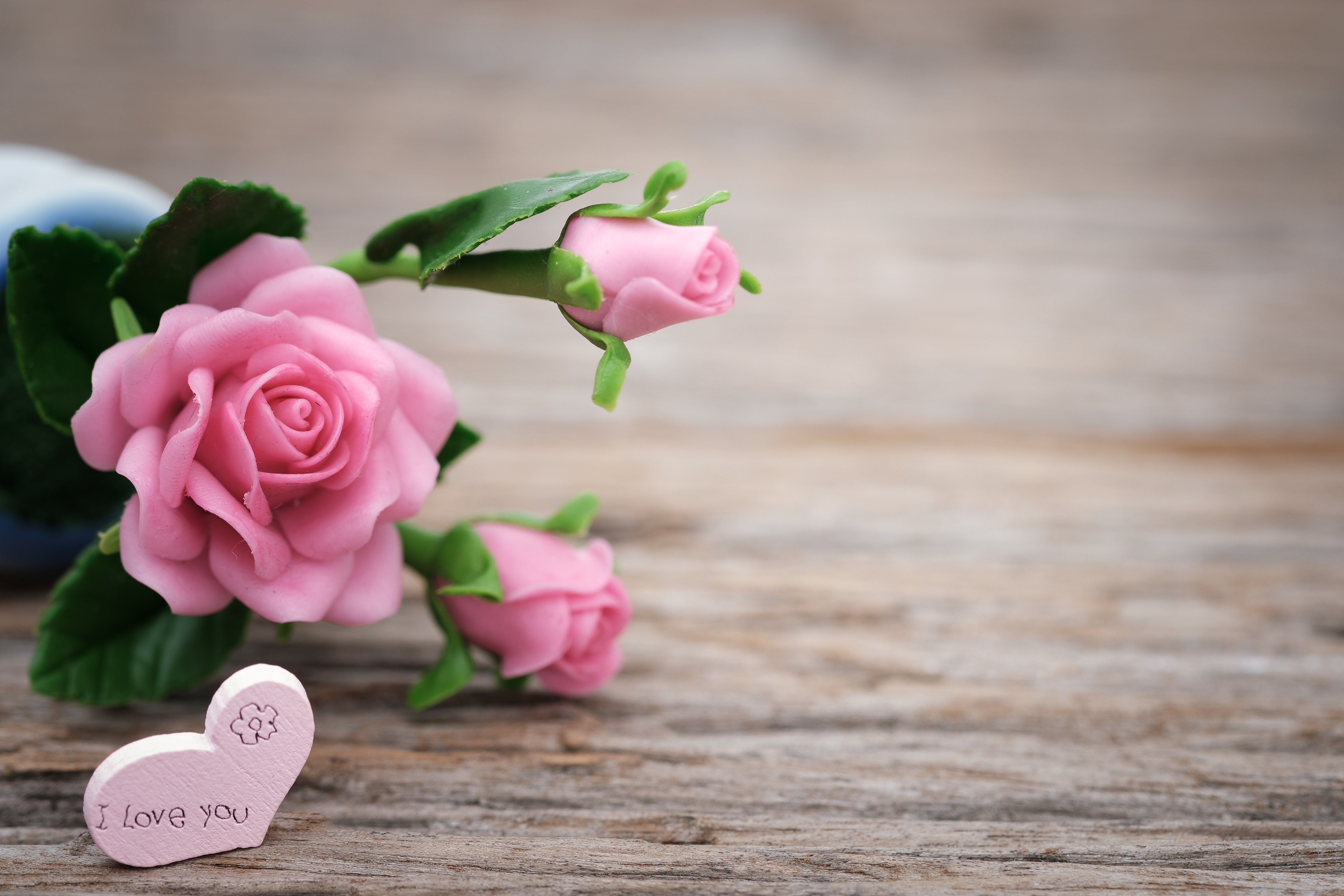 Pink Roses 5k Retina Ultra Fond D cran HD Arri re Plan 6000x4000