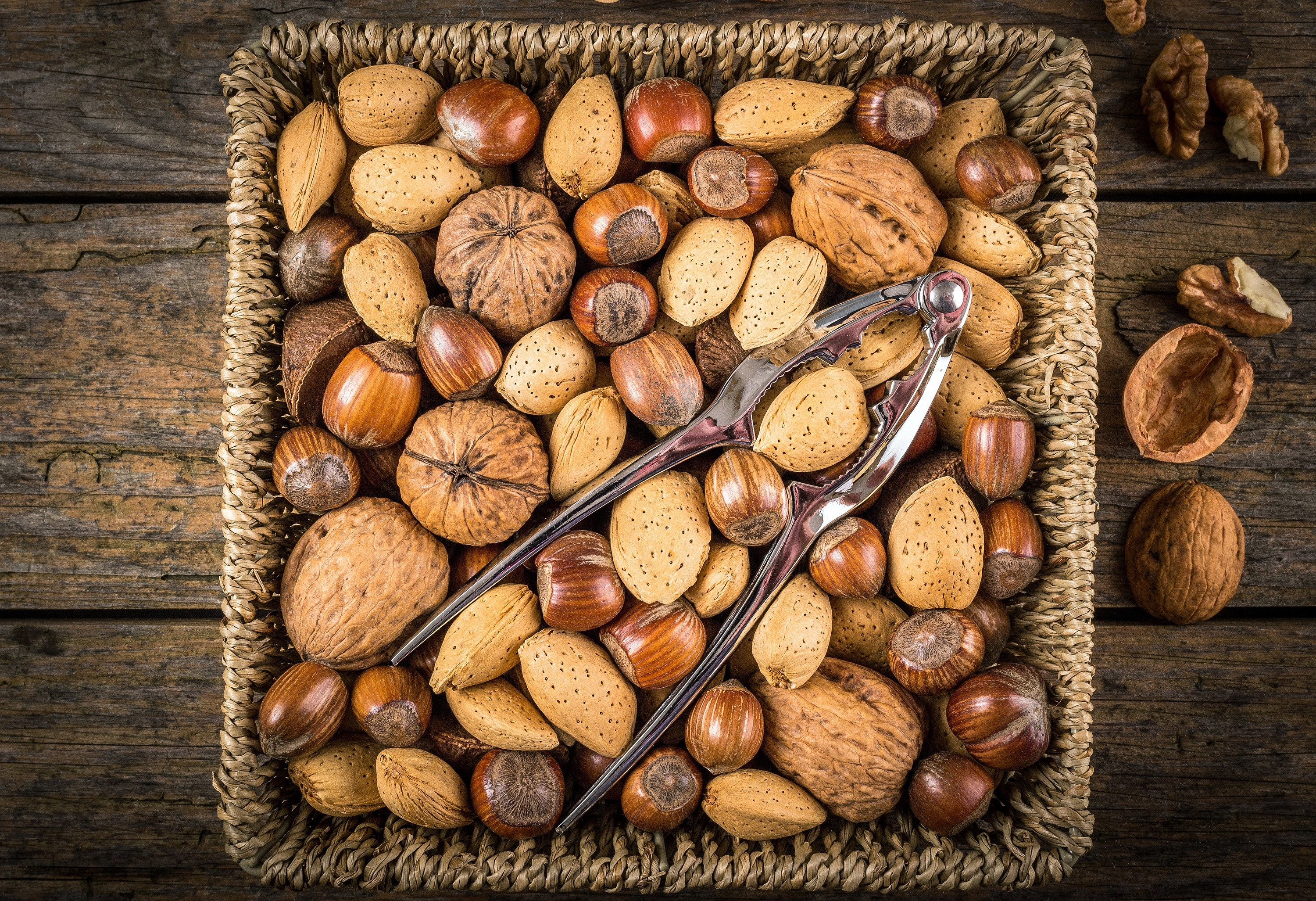 Nuts Wallpaper 37907
