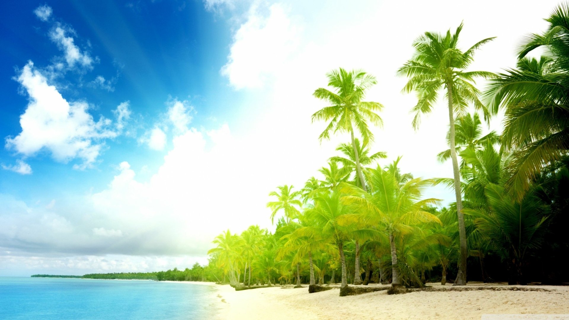 Download Sand Nature Beach HD Wallpaper | 2560x1440 | Wallpaper Abyss