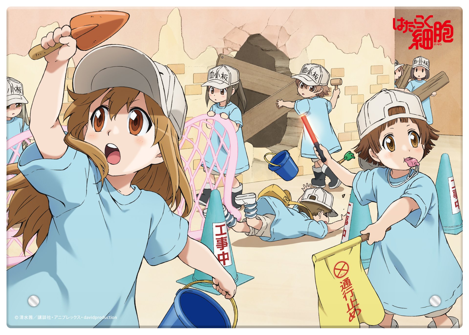 Download Platelet (Cells At Work!) Anime Cells At Work! HD Wallpaper