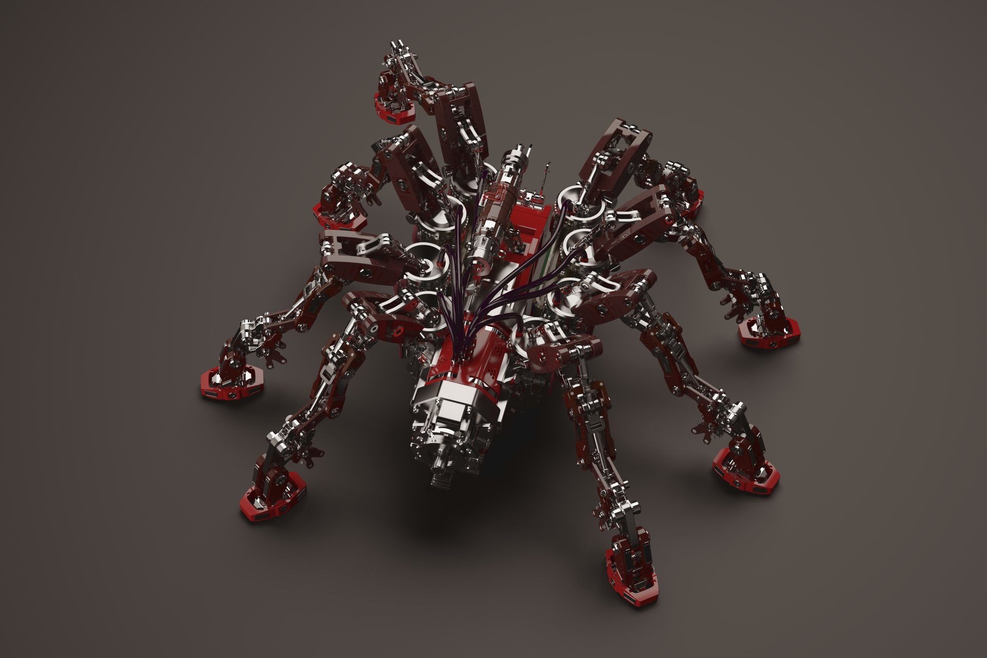 Spider by JasminZejnic