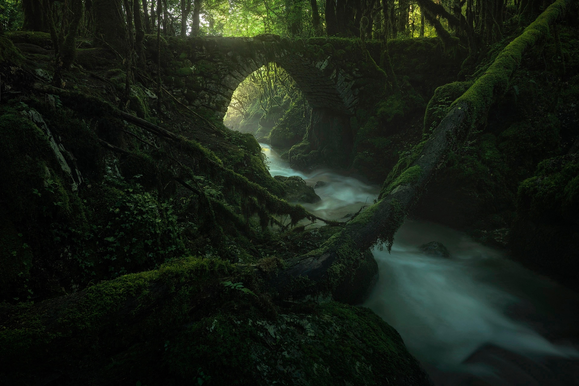 Moss-Covered Bridge over Serene Forest Stream – HD Nature Wallpaper